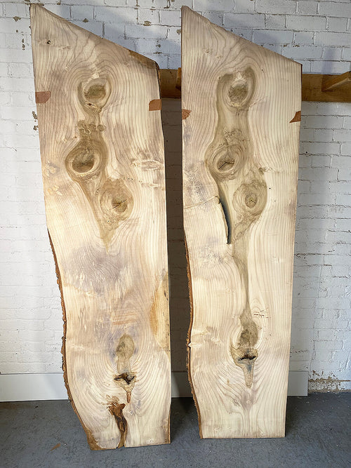 Tulip - Live Edge Boards from Chartwell Farm | Light Toned Timber