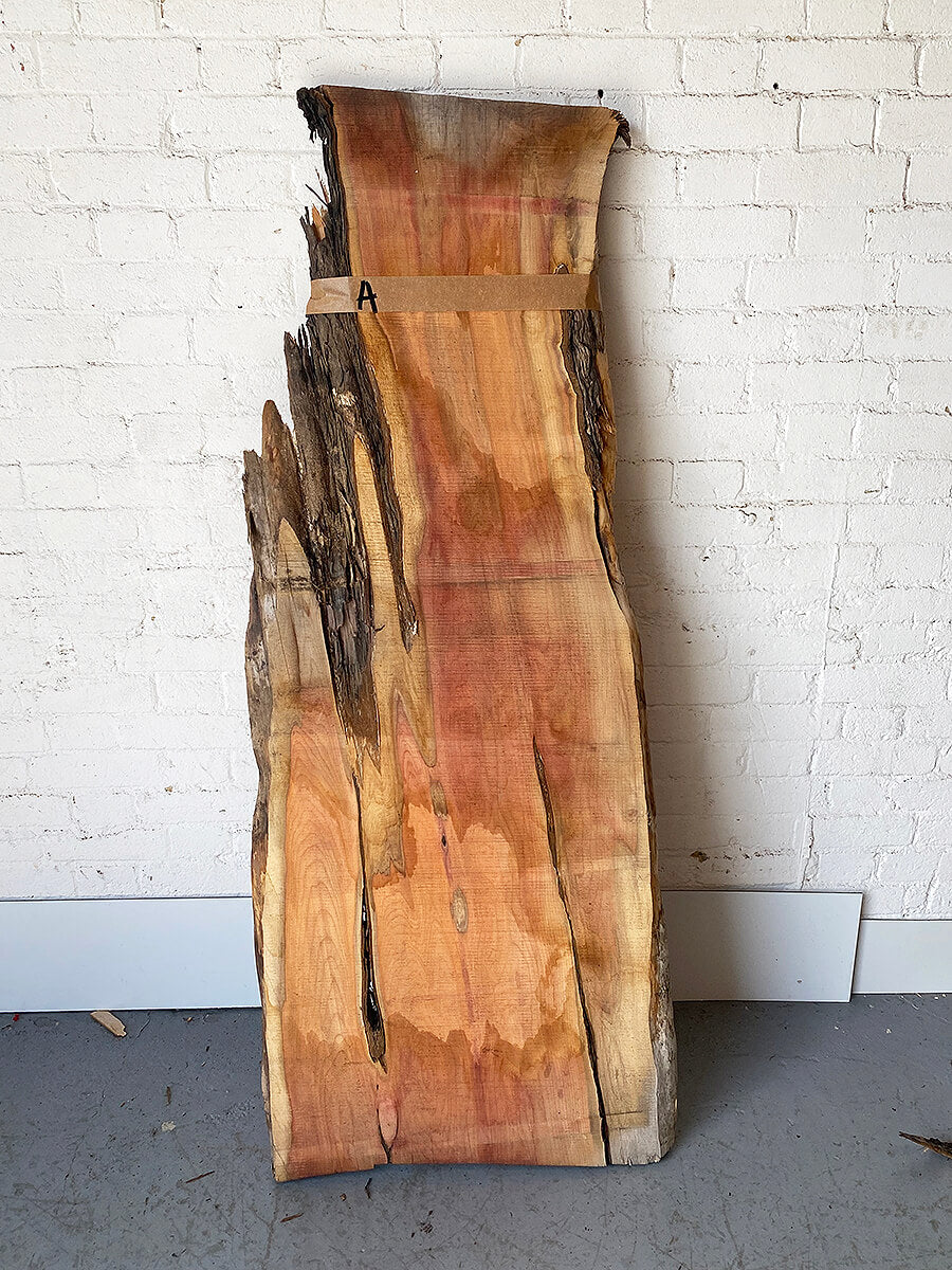 Yew - Rustic Character Board | Natural Waney Edge Ingrown Bark