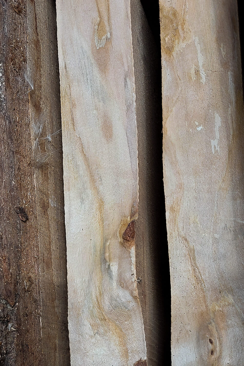 Maple Timber | Buy English Hardwood Boards in London