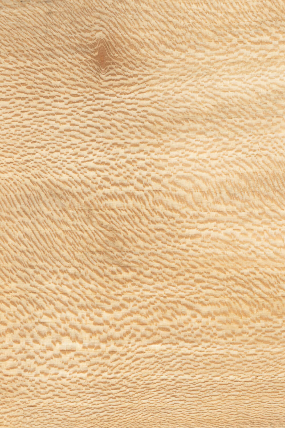 London Plane Timber | Buy English Hardwood Boards in London